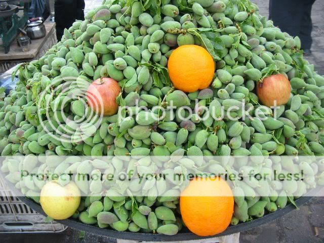 Sirija - Kelionių fotoreportažai - Forumas