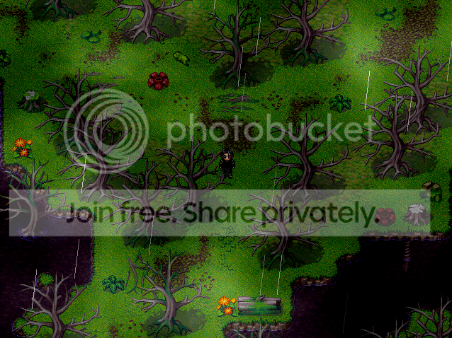 RMXP Mapping Contest -- Round 1 -- Swampy Forest - RPG Maker XP Forum ...